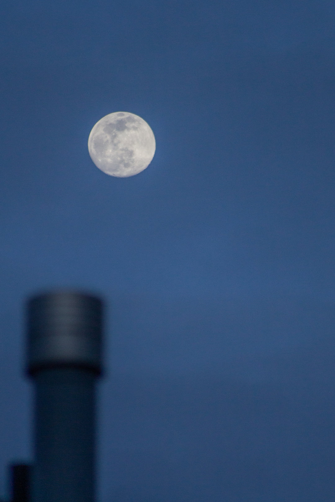 The Grounded 1002 Dictionary